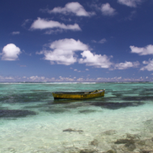 The Mauritius sea urchin collection | Zea jewellery